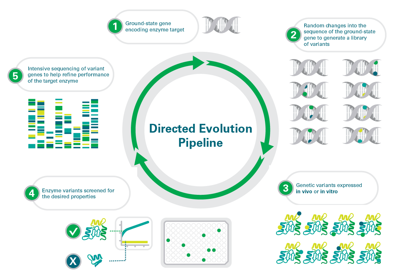 Technology - Entropix - Enzyme Engineering Through Directed Evolution
