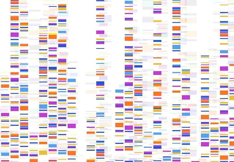 Entropix - Enzyme Engineering Through Directed Evolution