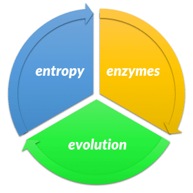 Enzymes Evolution and Entropy - Entropix - Enzyme Engineering Through ...